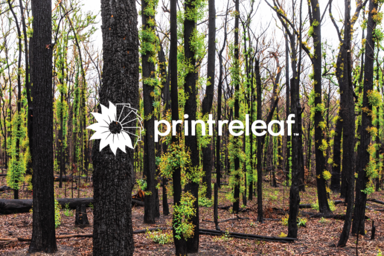 Active Tree Services | Safe and Green