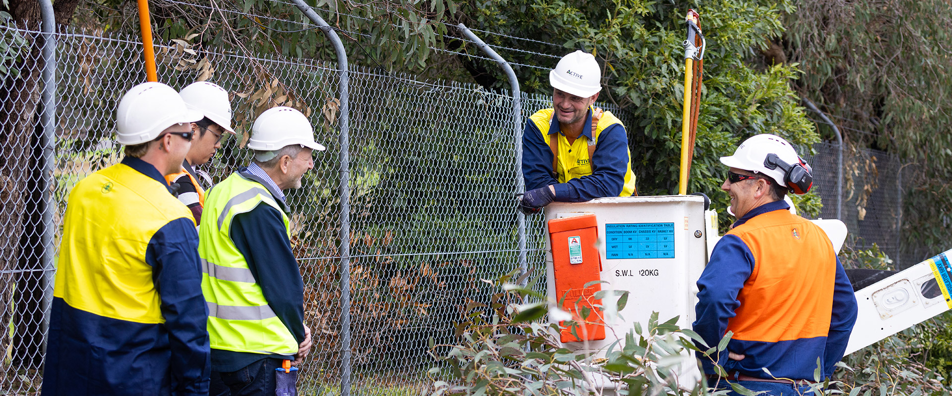 Active Tree Services | Our Team