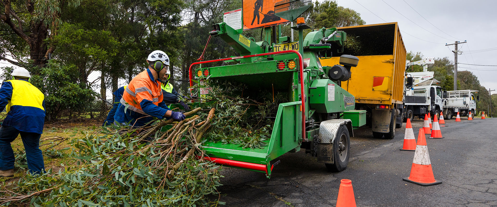 Active Tree Services | Safe and Green